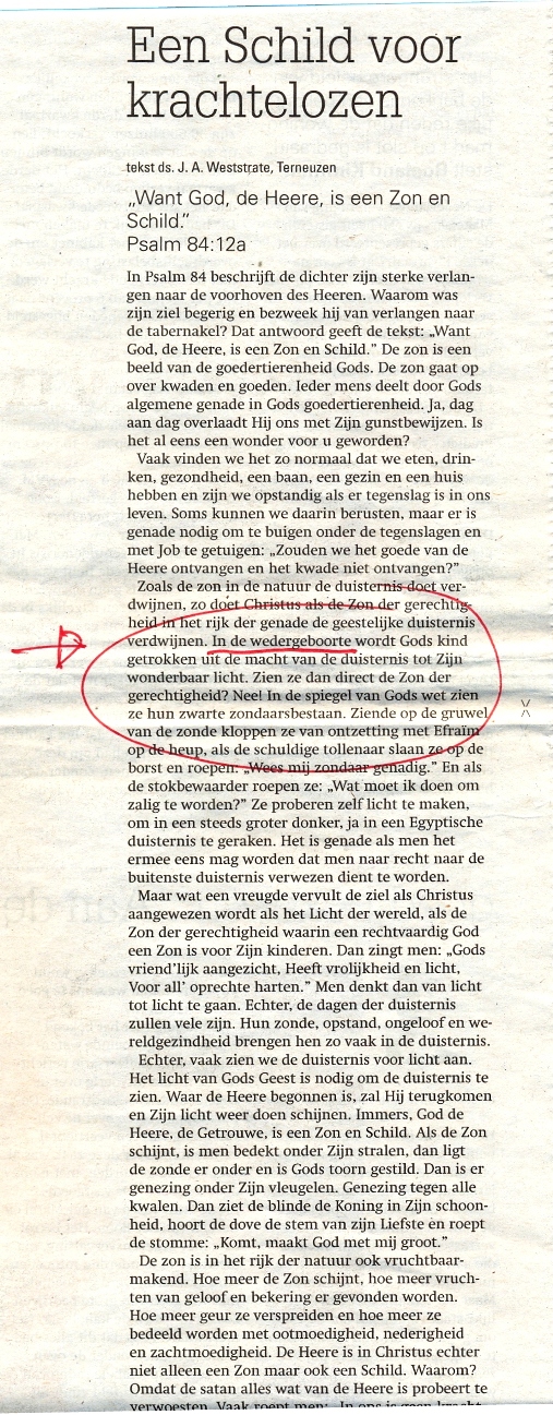 Vragenforum - dewoesteweg.nl • Bekijk onderwerp - Wedergeboorte of ...